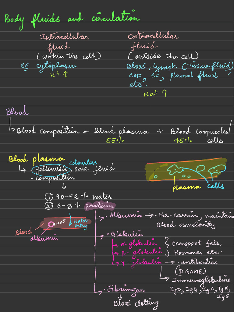 Circulation - 1 | PDF | Blood | Blood Plasma