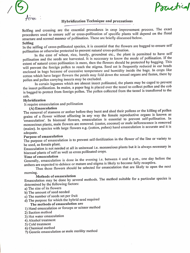 Practical 5 GPB | PDF