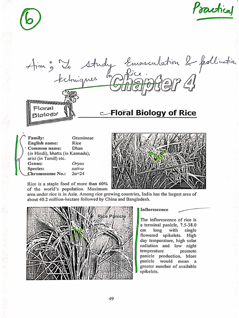 Practical 6 GPB | PDF