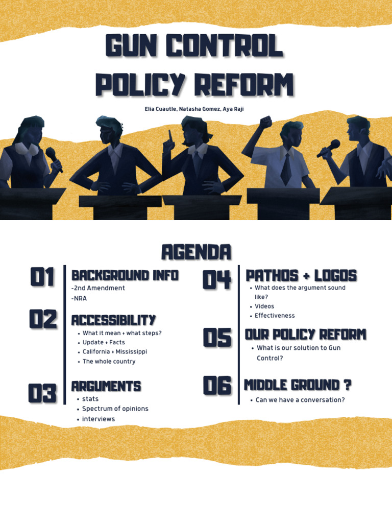 Gun Control Policy Reform | PDF | National Instant Criminal Background ...