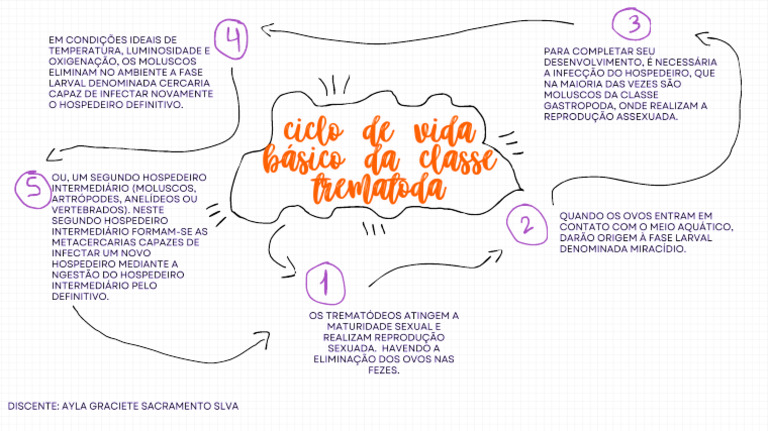 Mapa Mental de Controle Financeiro Simples Branco | PDF