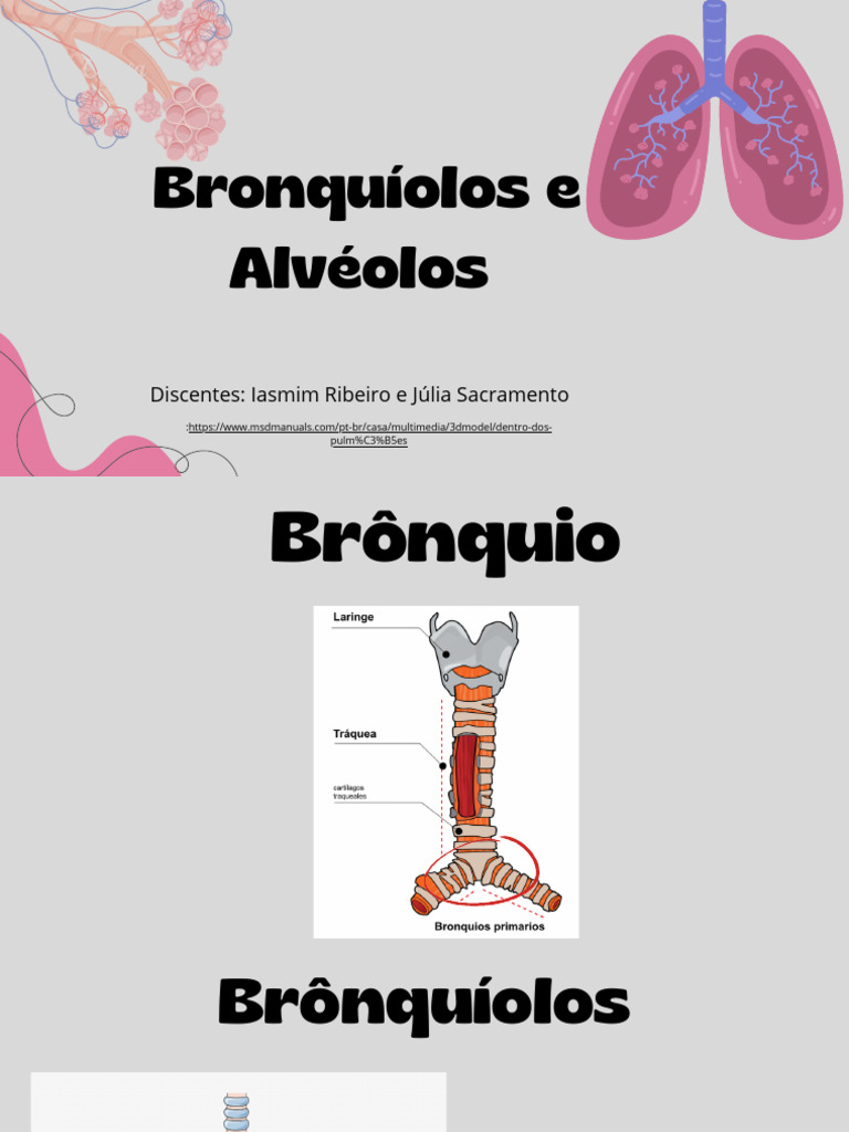 Histologia de alvéolos e bronquíolos | PDF