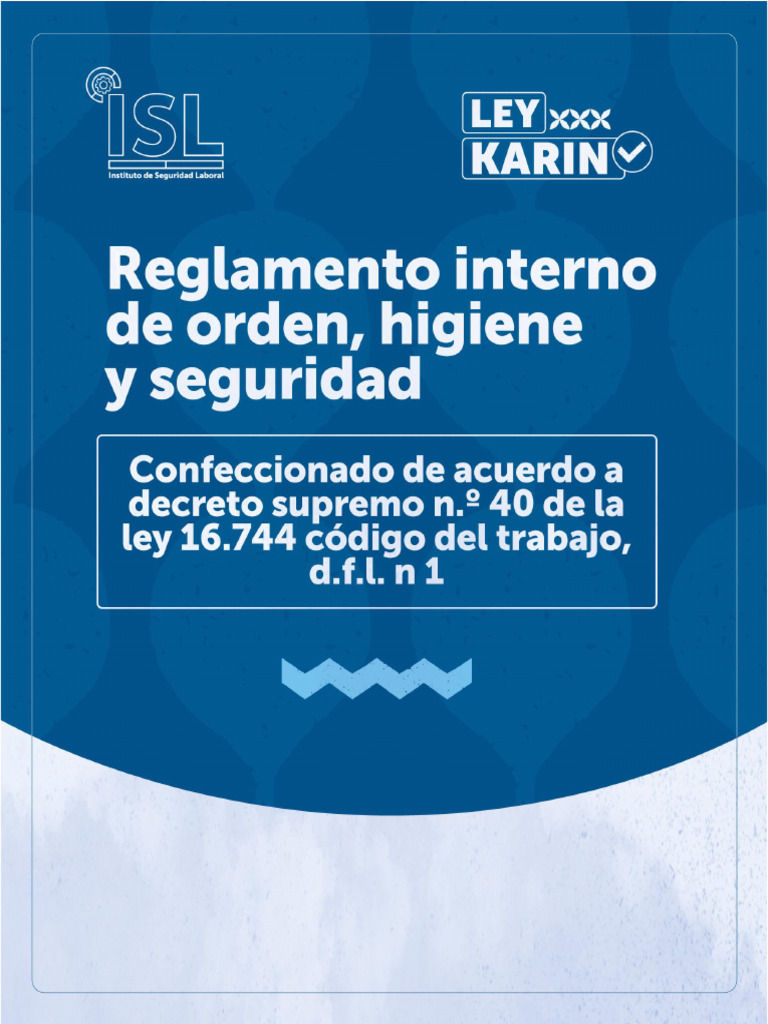REGLAMENTO INTERNO DE ORDEN HIGIENE Y SEGURIDAD 03 2024 - PDF | PDF | Derecho laboral | Invalidez