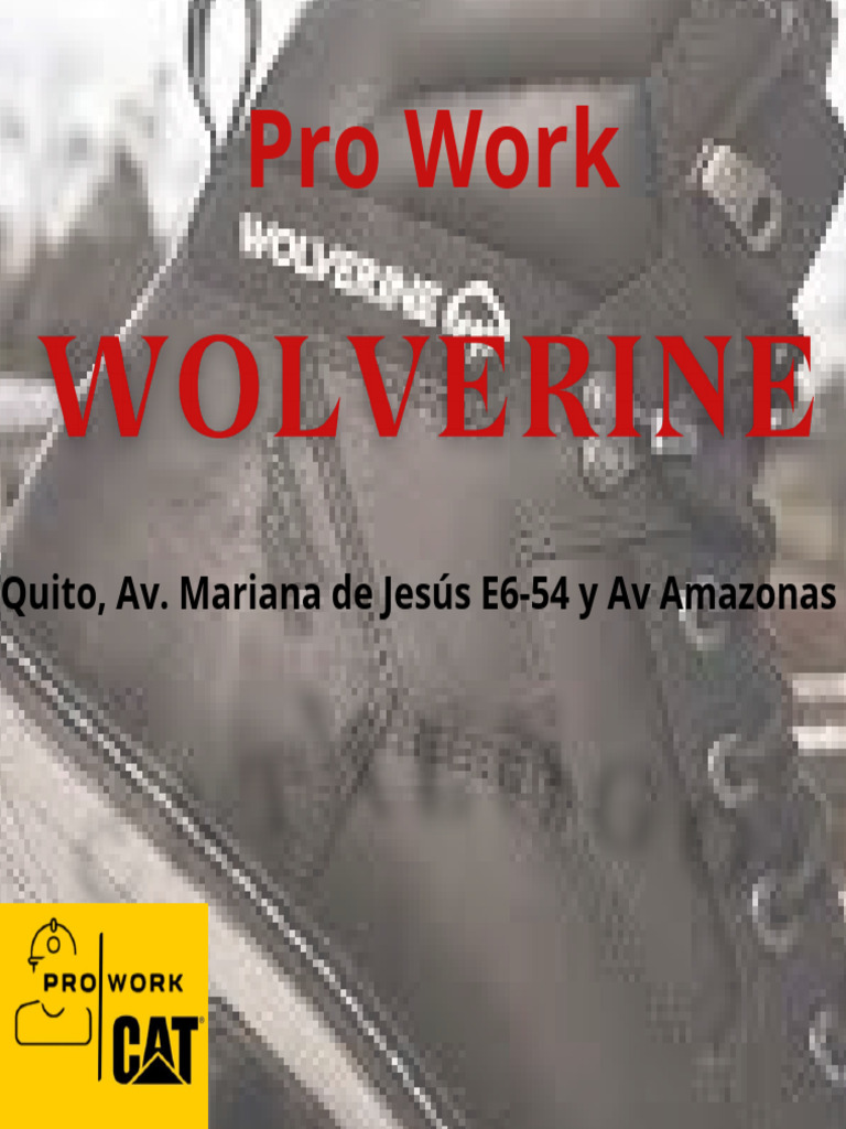 Wolverine Pro Work - PDF - 20240913 - 165630 - 0000 | PDF