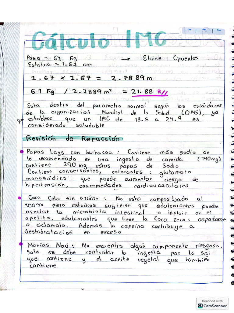 Calculo IMC, Elaine | PDF