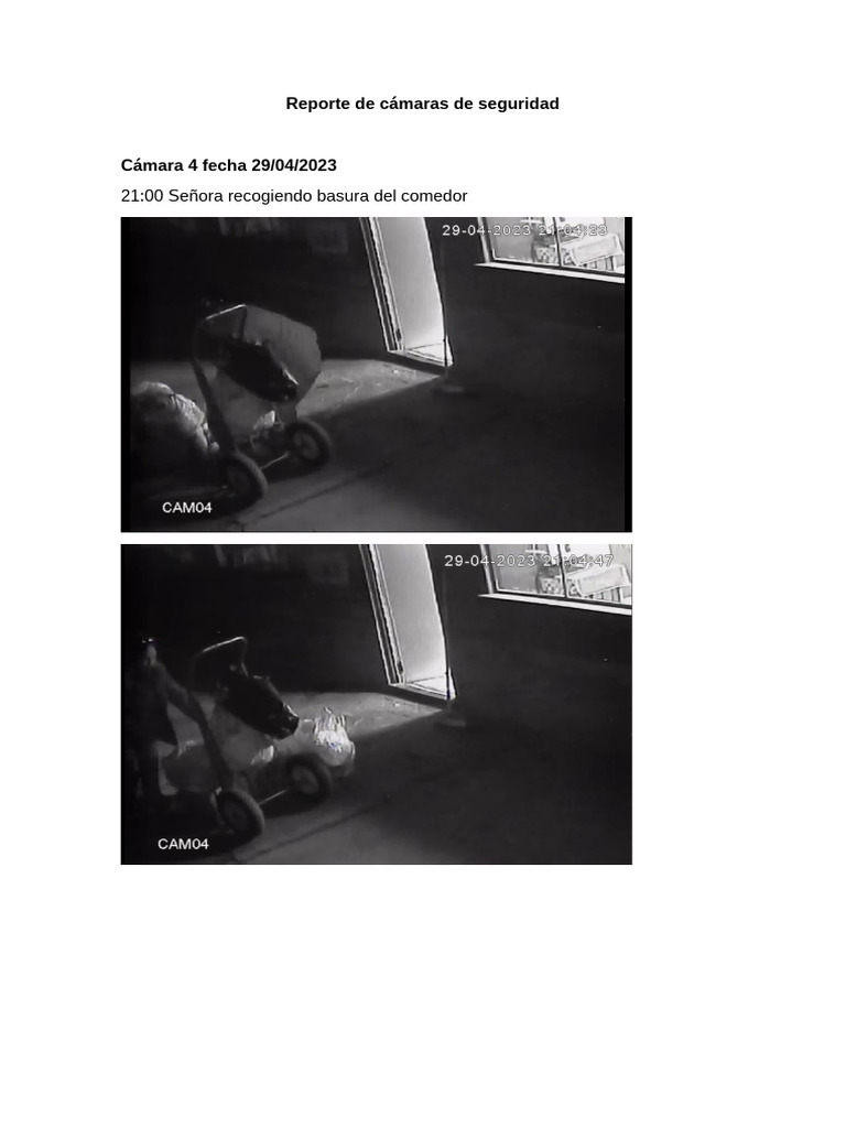 Reporte Cámaras Comedor | PDF