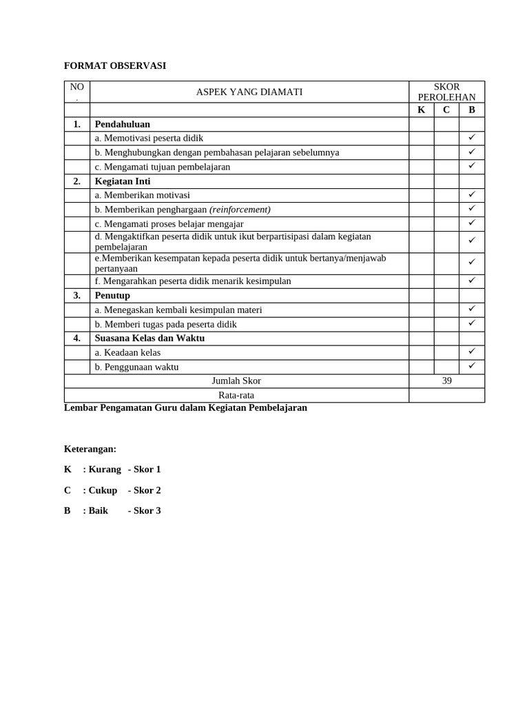 SA - FORMAT OBSERVASI | PDF