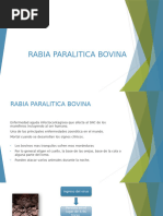 Ficha de Profilaxis Antirrábica | PDF | Rabia | Ciencias de la Salud