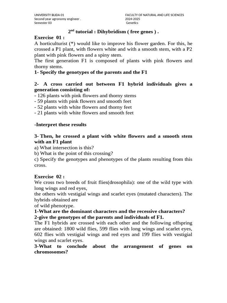 TD Genetics 2 | PDF | Science & Mathematics