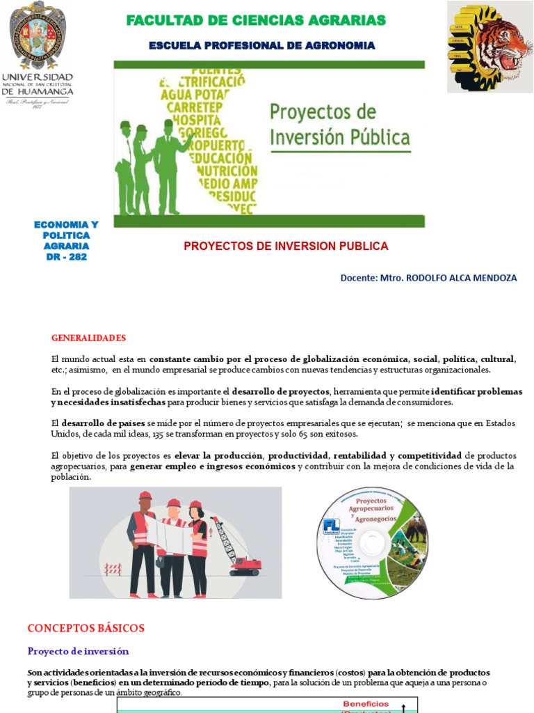 Proyectos de Inversion Publica | PDF | Agronomía | Inversiones