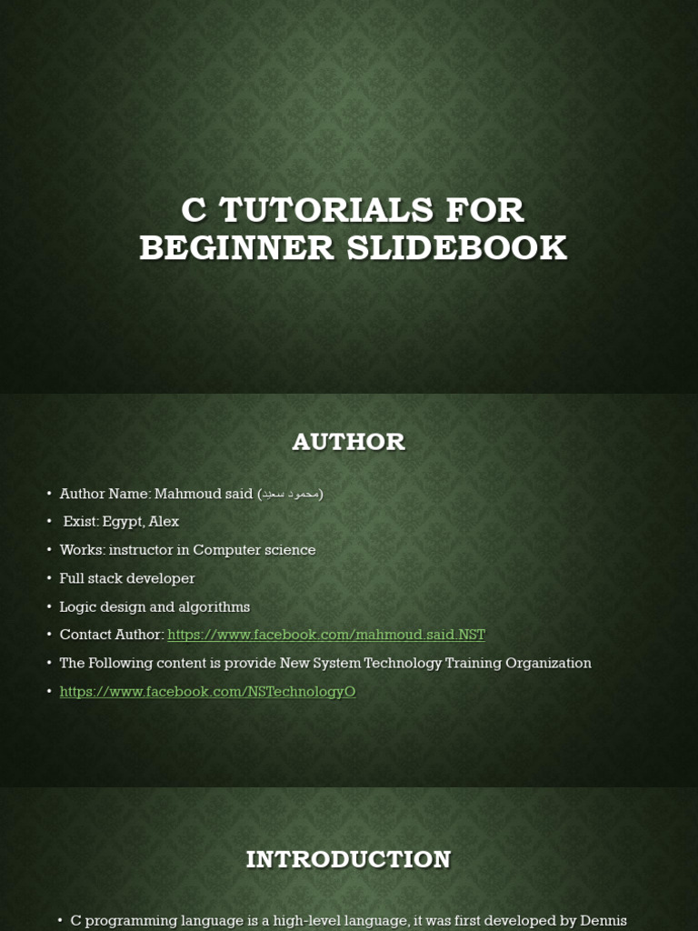 C For Biginer Pdf Variable Computer Science Integer Computer 8294