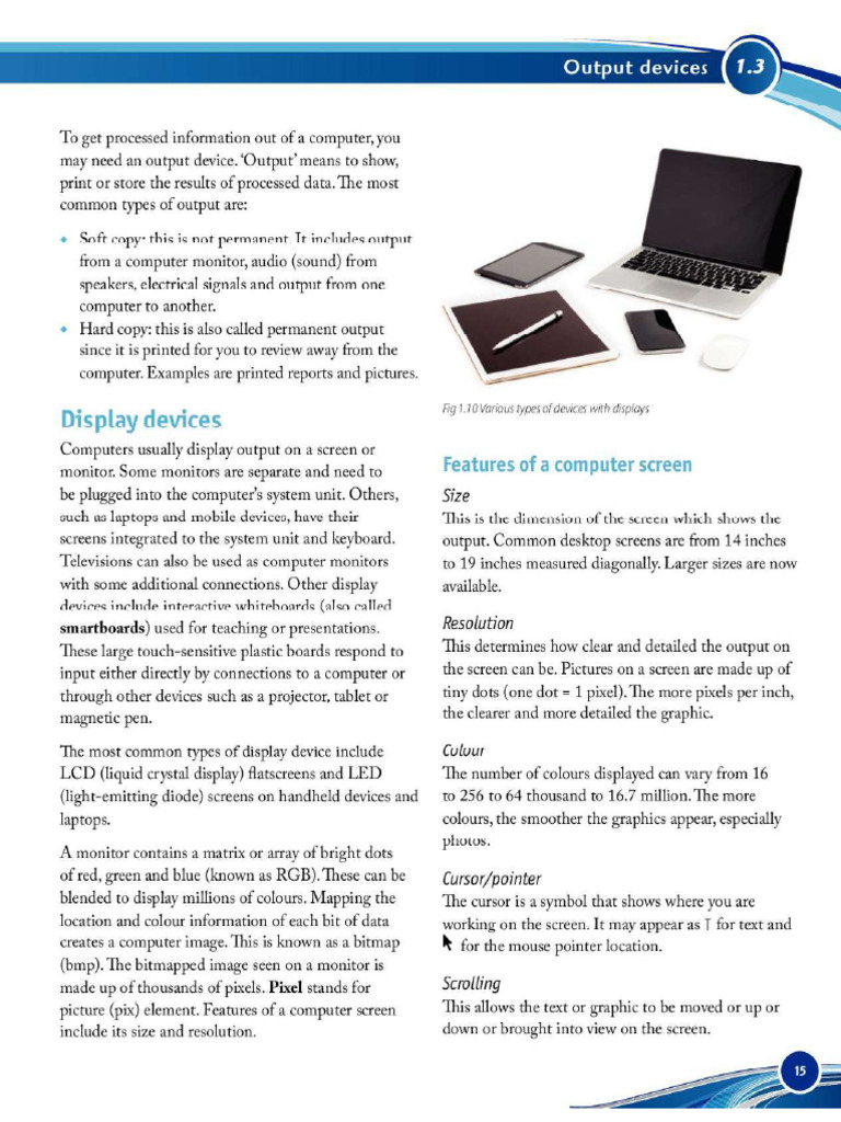 1.3 Output Devices | PDF