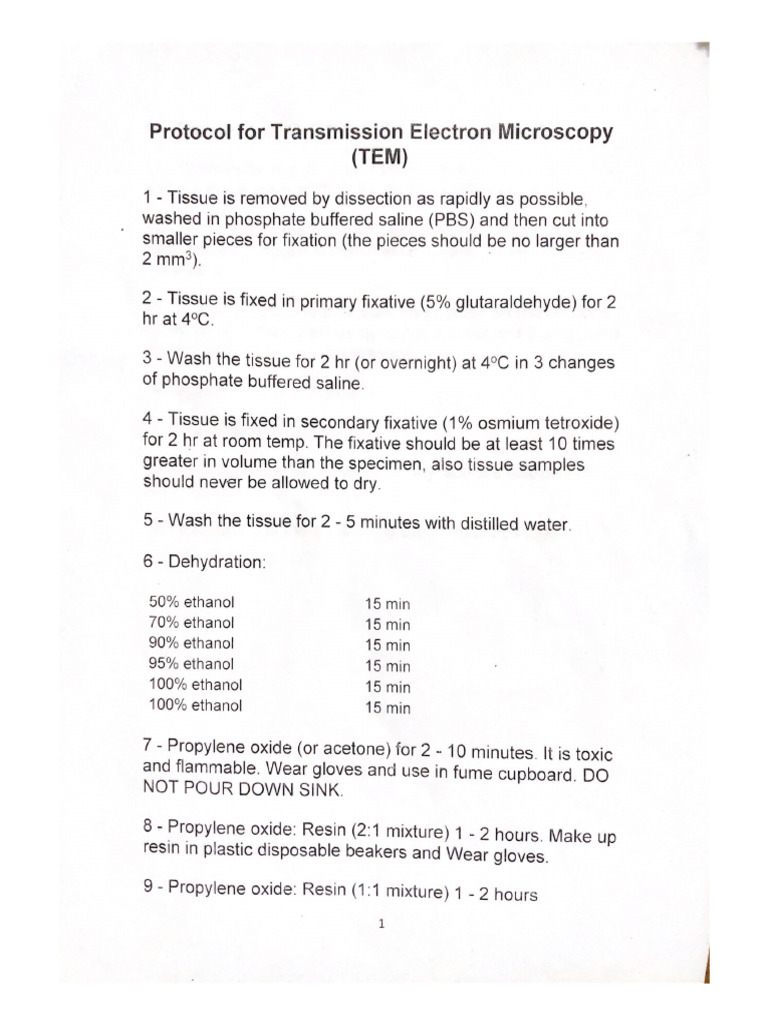 Protocol For Transmission Electron Micros | PDF