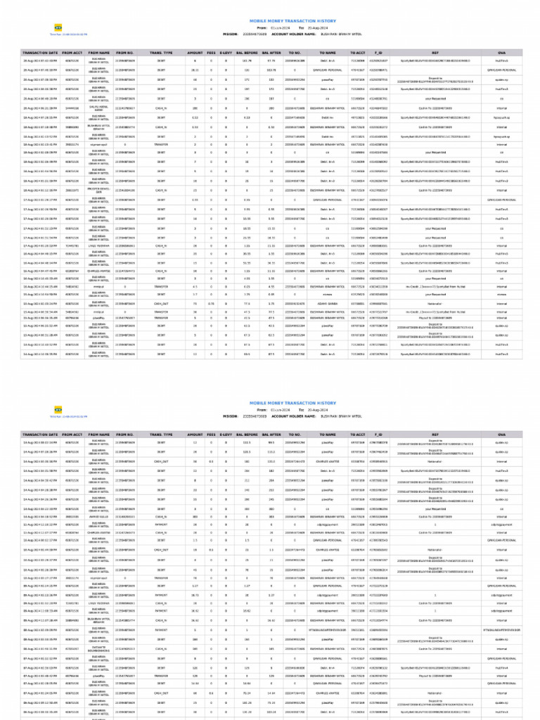 Momo Statement Report | PDF