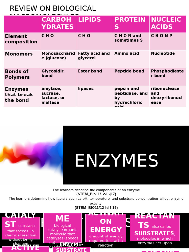 Enzymes | PDF | Enzyme | Active Site
