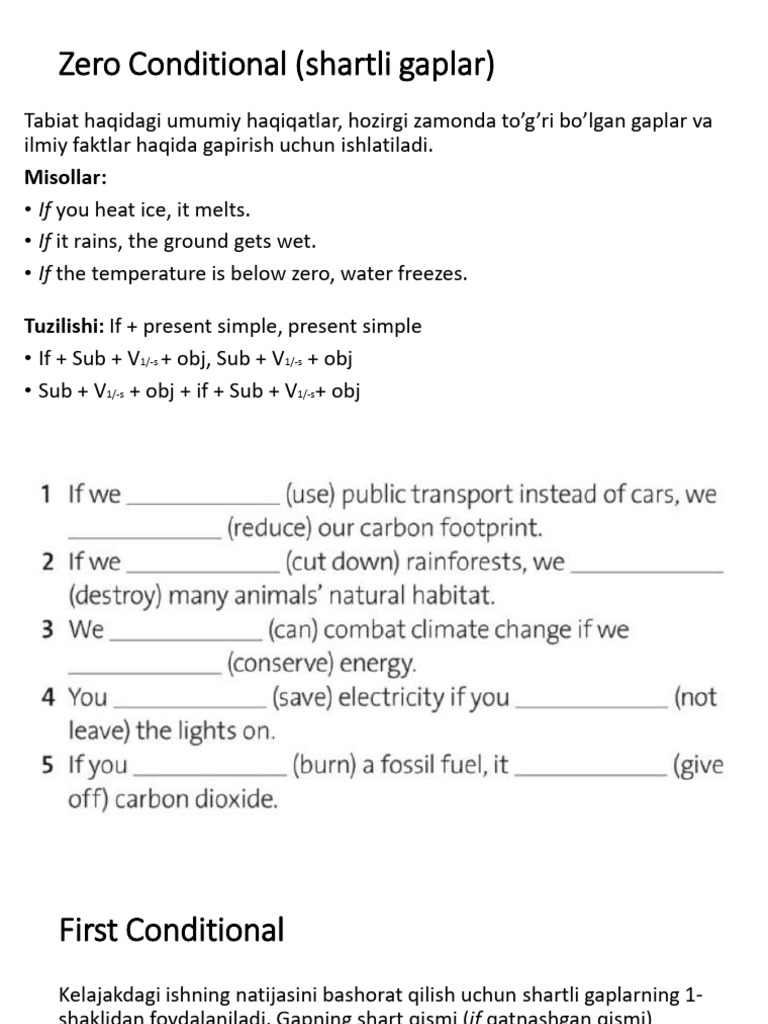 Zero and First Conditional | PDF