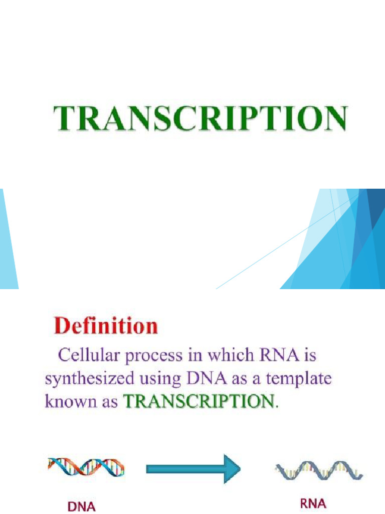 Transcription (2) | PDF | Promoter (Genetics) | Dna