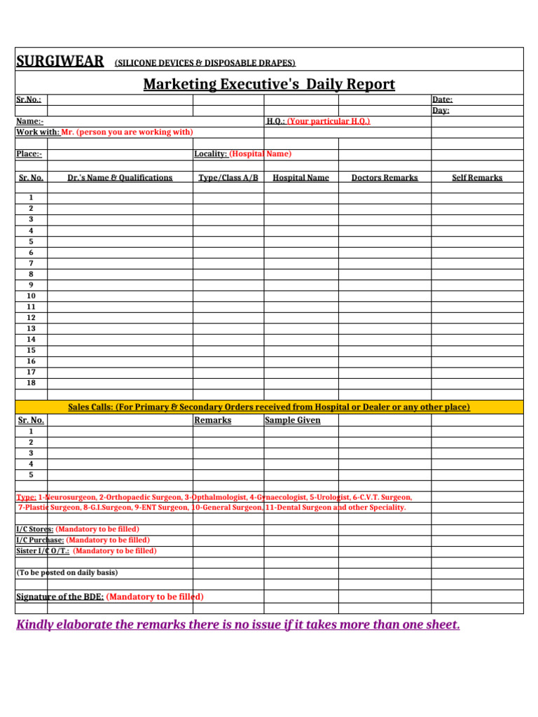 Daily Report Format (1) (1) | PDF