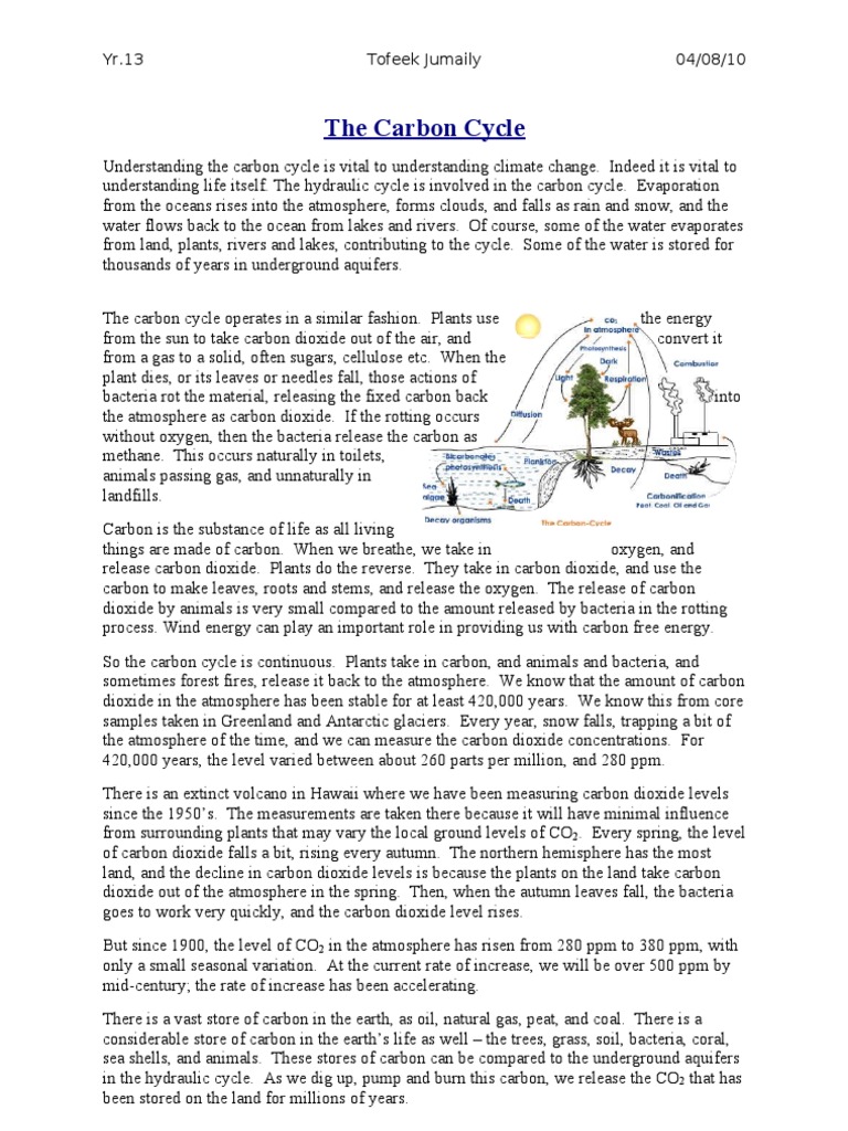 The Carbon Cycle | PDF | Carbon Cycle | Carbon Dioxide In Earth's ...