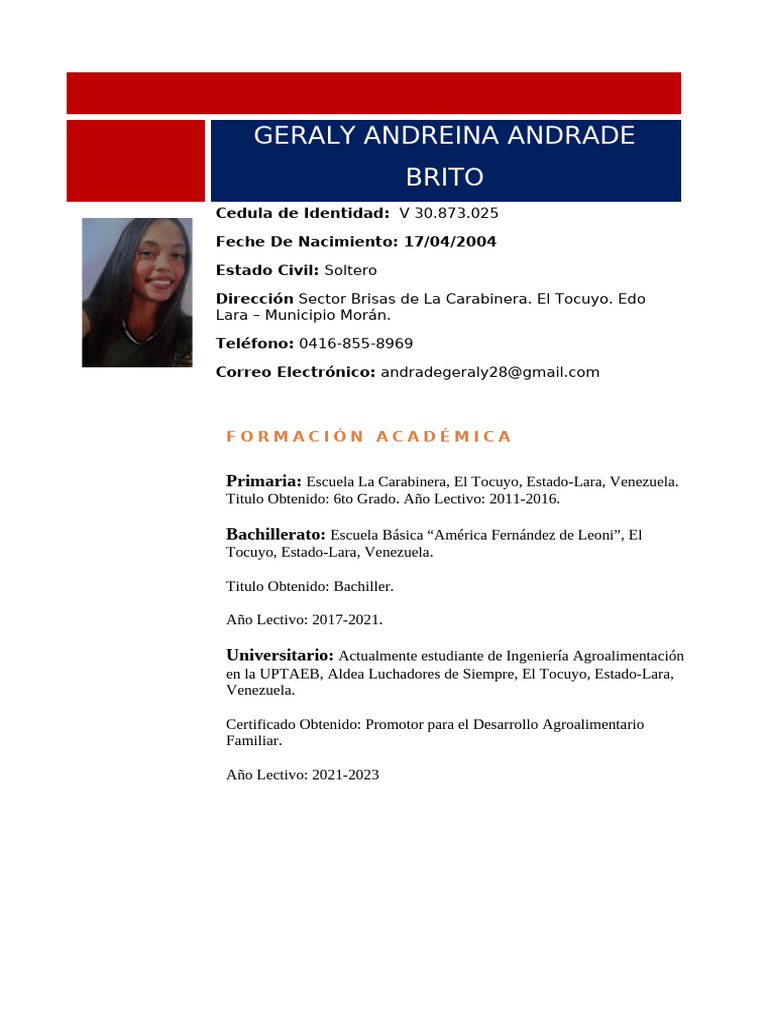 Perfil Académico de Geralyn Andrade | PDF