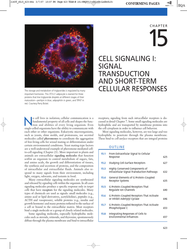Lodish6th Ch15 SignTransd | PDF | Cell Signaling | Signal Transduction