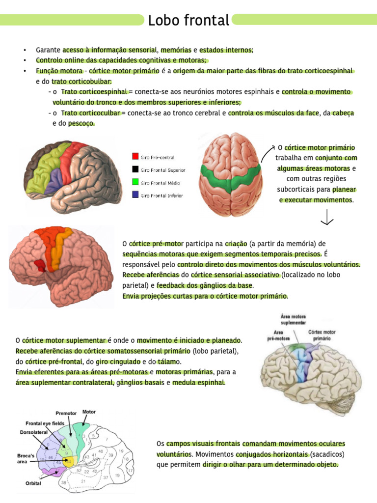 Lobo Frontal | PDF | Emoções | Sistema límbico