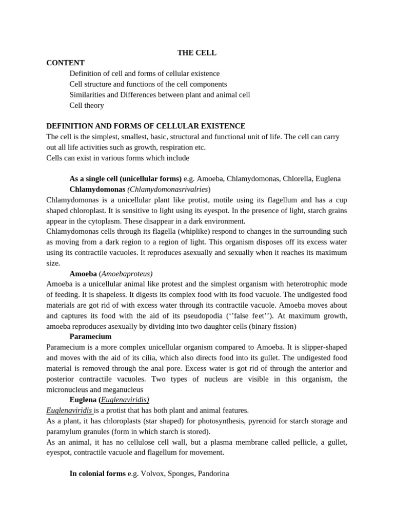 The Cell and Its Environment | PDF | Cell (Biology) | Endoplasmic Reticulum
