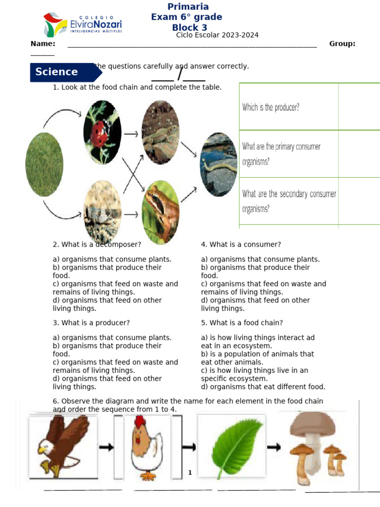 Science exam 6° block 3 | PDF | Life | Earth