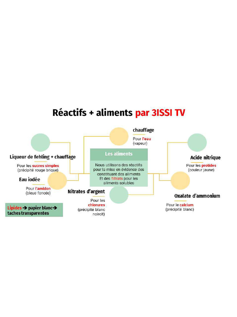 Les Aliments Et La Digestion | PDF