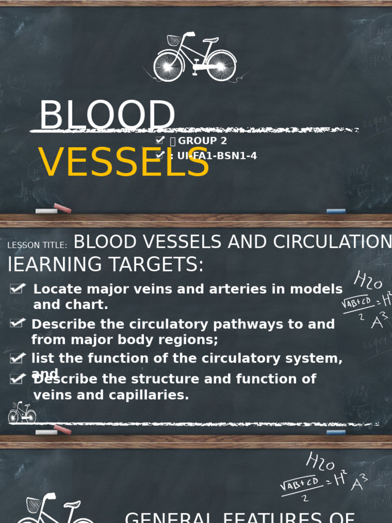 BLOOD-VESSELS pdf lesson | PDF | Blood Vessel | Artery