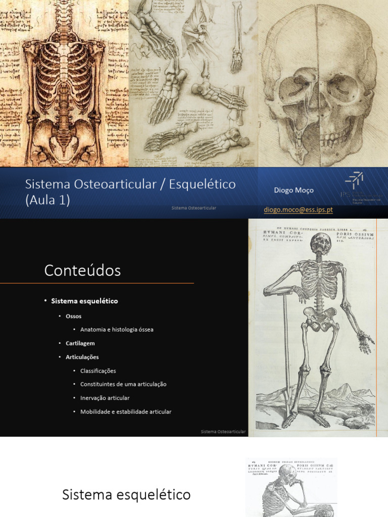 Estrutura e Funções do Sistema Osteoarticular | PDF | Osso | Sistema ...