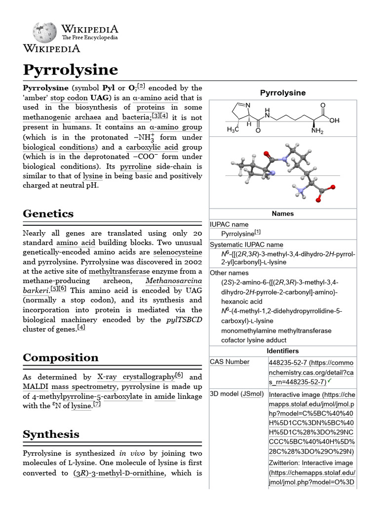 Pyrrolysine - Wikipedia | PDF | Biochemistry | Chemistry