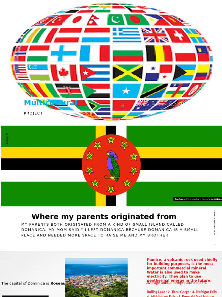 Multicultural Project | PDF