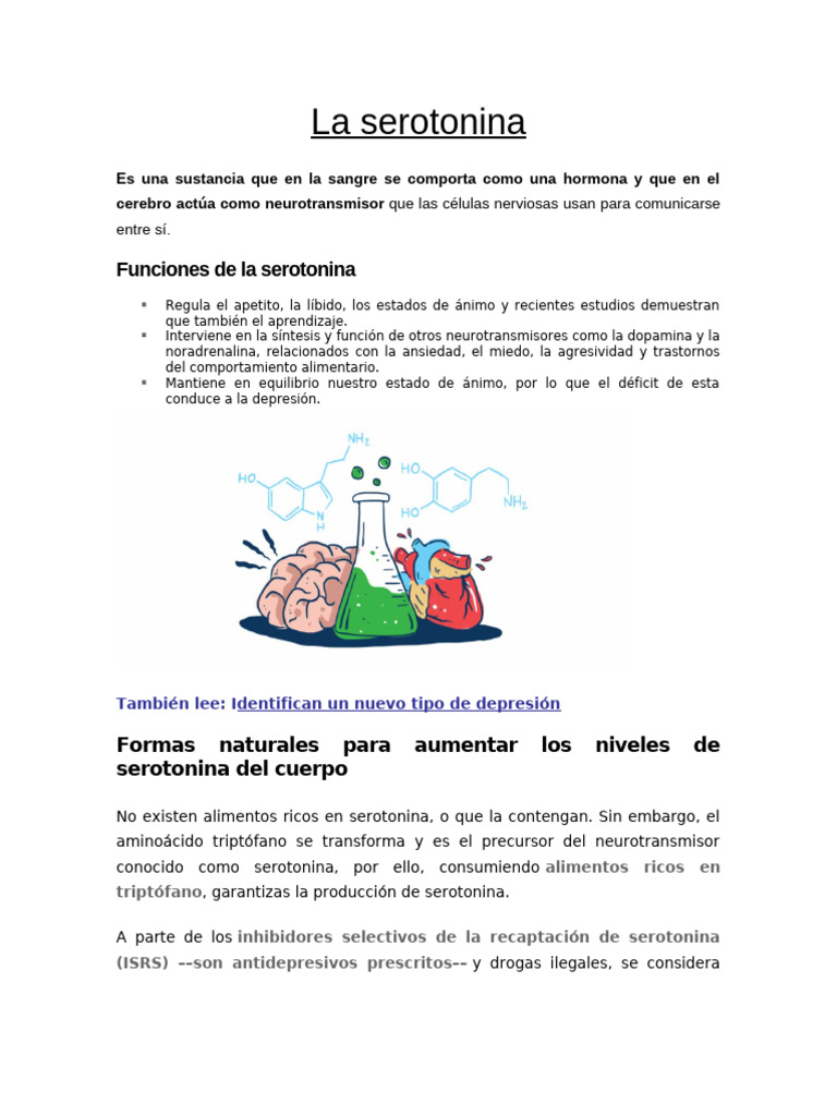 Que Es La Serotonina | PDF | Serotonina | Triptófano