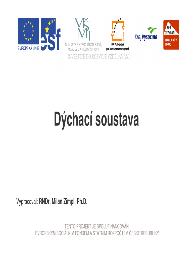 Dychaci Soustava | PDF