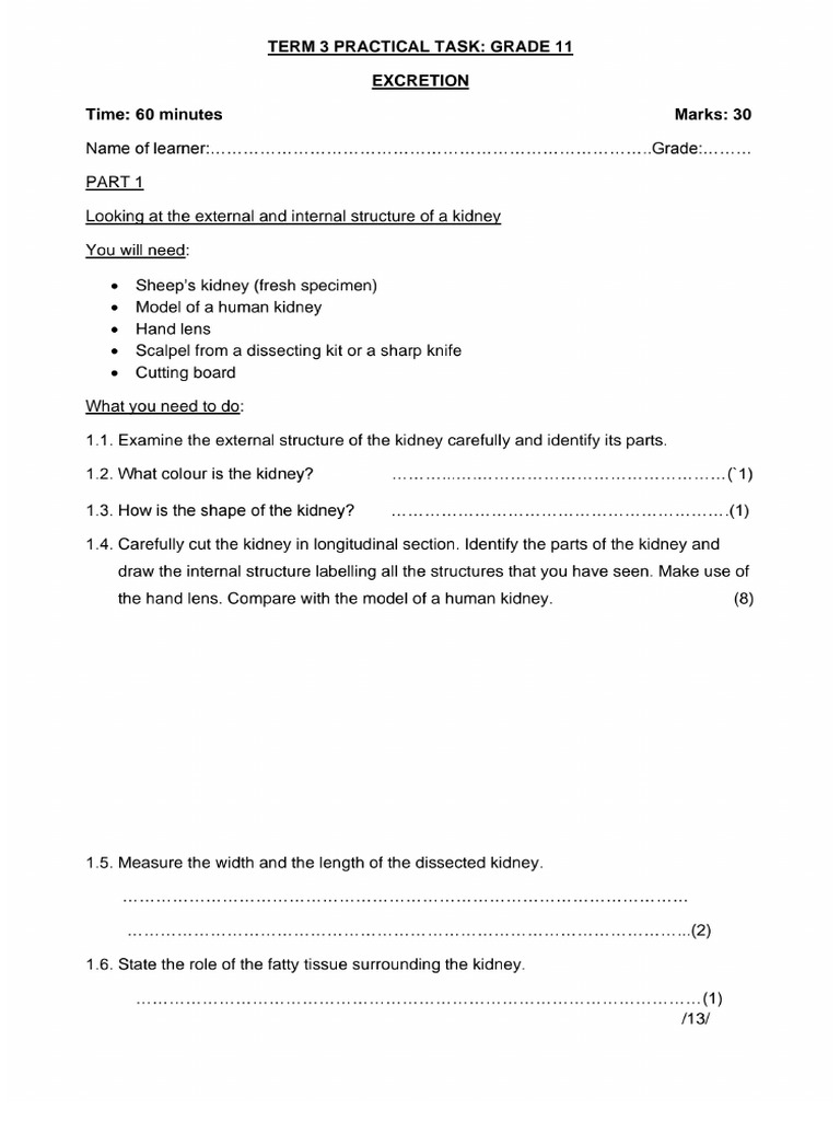 Term 3 Practical Task Grade 11 - Excretion | PDF