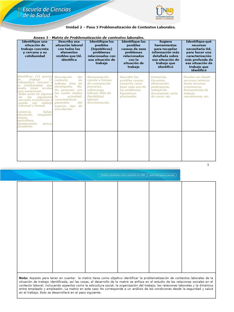 Anexo 3 - Matriz de Problematización de Contextos Laborales. | PDF ...