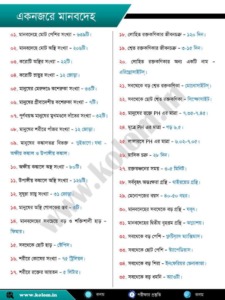 Human Body GK | PDF