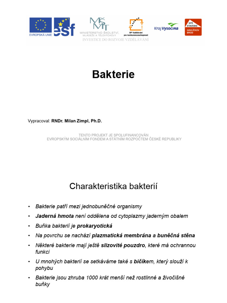 Bakterie | PDF