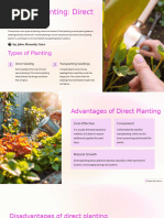 The Largest Bunch of Grapes | PDF | Vitis | Grape