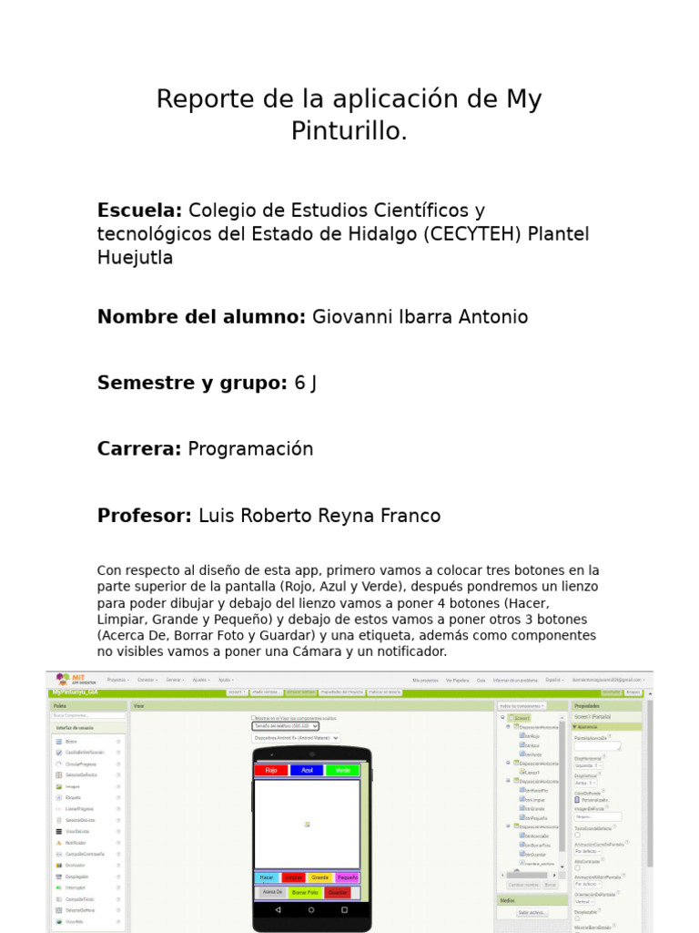 Diseño y Funciones de App Pinturillo | PDF | Informática