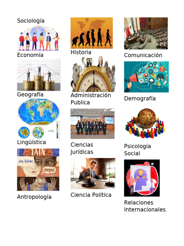 Ramas de la Ciencia en Sociología | PDF
