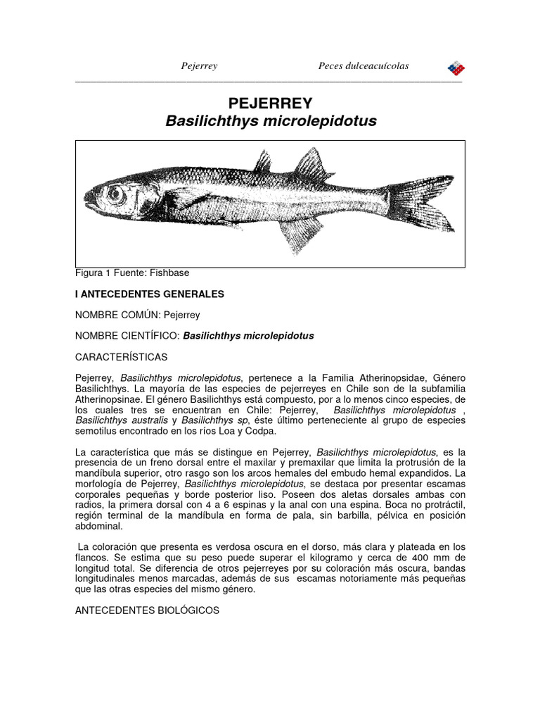 Basilichthys Microlepidotus: Pejerrey | PDF | Especie en peligro
