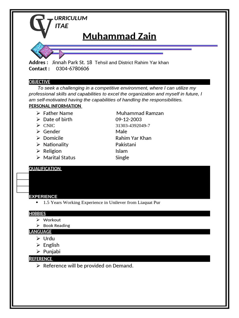 Muhammad Zain's Professional CV | PDF
