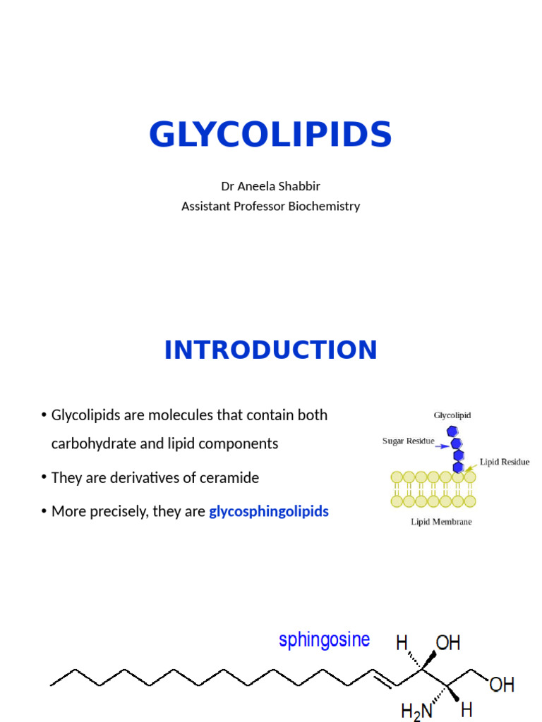 Overview of Glycolipids and Sphingolipidoses | PDF | Clinical Medicine ...
