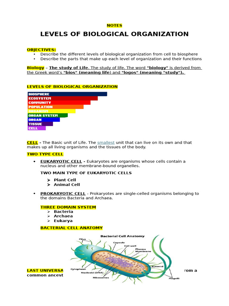 Level of Biological Organization Notes | PDF | Respiratory System ...