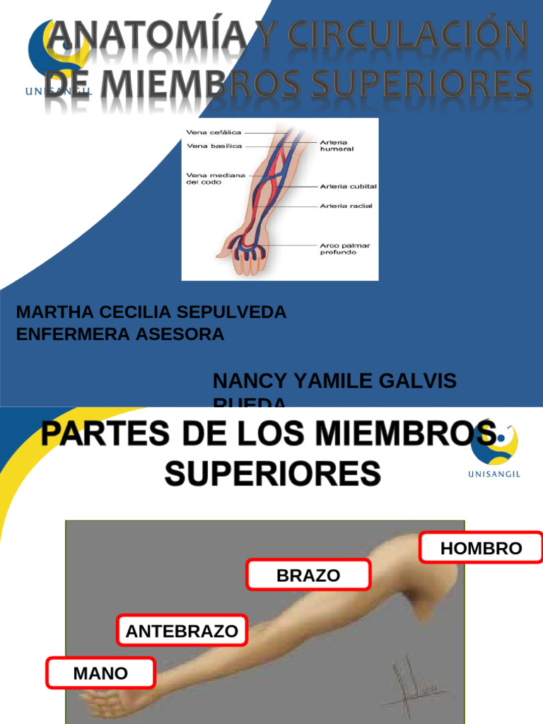 Preparación y Colocación de Catéter Cavafix | PDF | Codo | Angiología