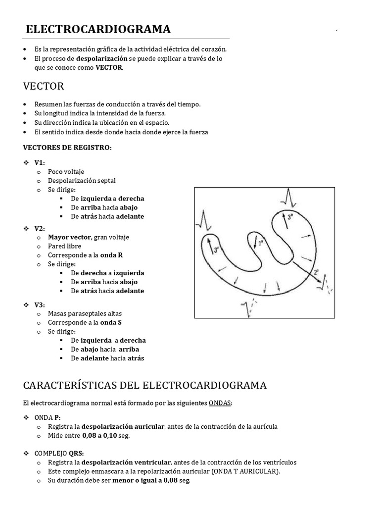 2 Electrocardiograma | PDF | Electrocardiografia | Fisiología