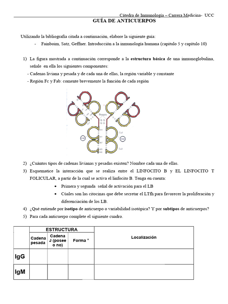 Guia de Anticuerpos 2024 | PDF | Salud y bienestar | Historia