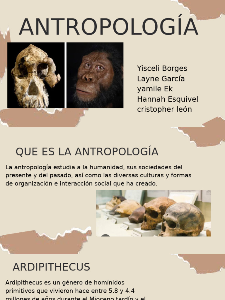 Introducción a la Antropología y Homínidos | PDF | Plioceno ...